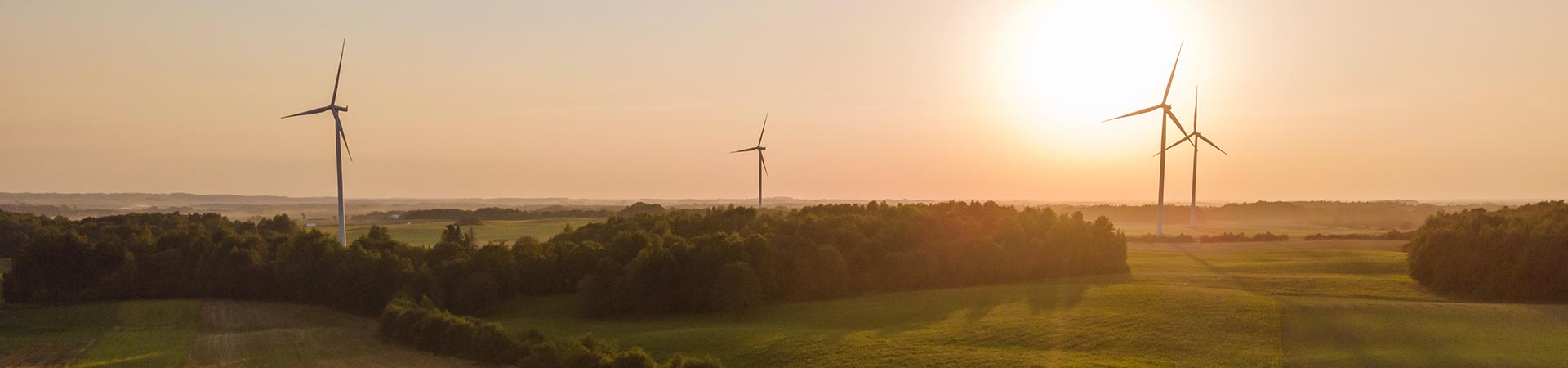 Courses | Circular Bioeconomy Development Micro-Certificate