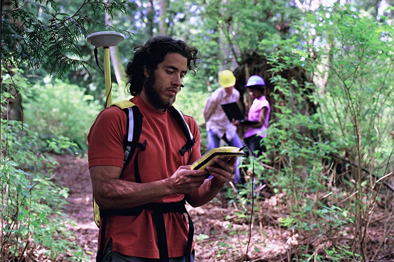 Undergraduate Programs | UBC Forestry