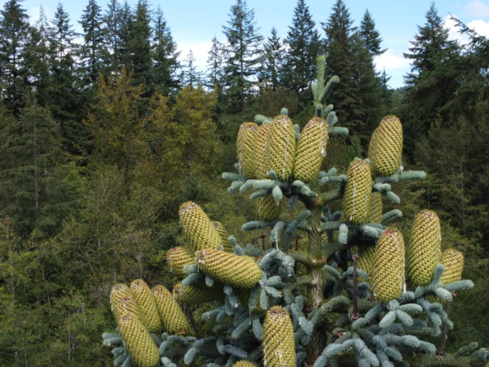 From Classroom to Canopy: How MUFL Lessons Are Shaping the Malcolm ...