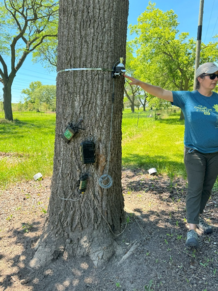 From Classroom to Canopy: How MUFL Lessons Are Shaping the Malcolm ...